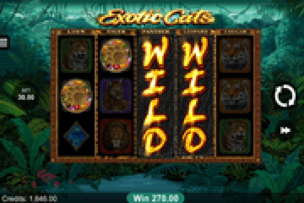 Exotic Cats Slot: Wildcats Turn Columns Into Wild Reels