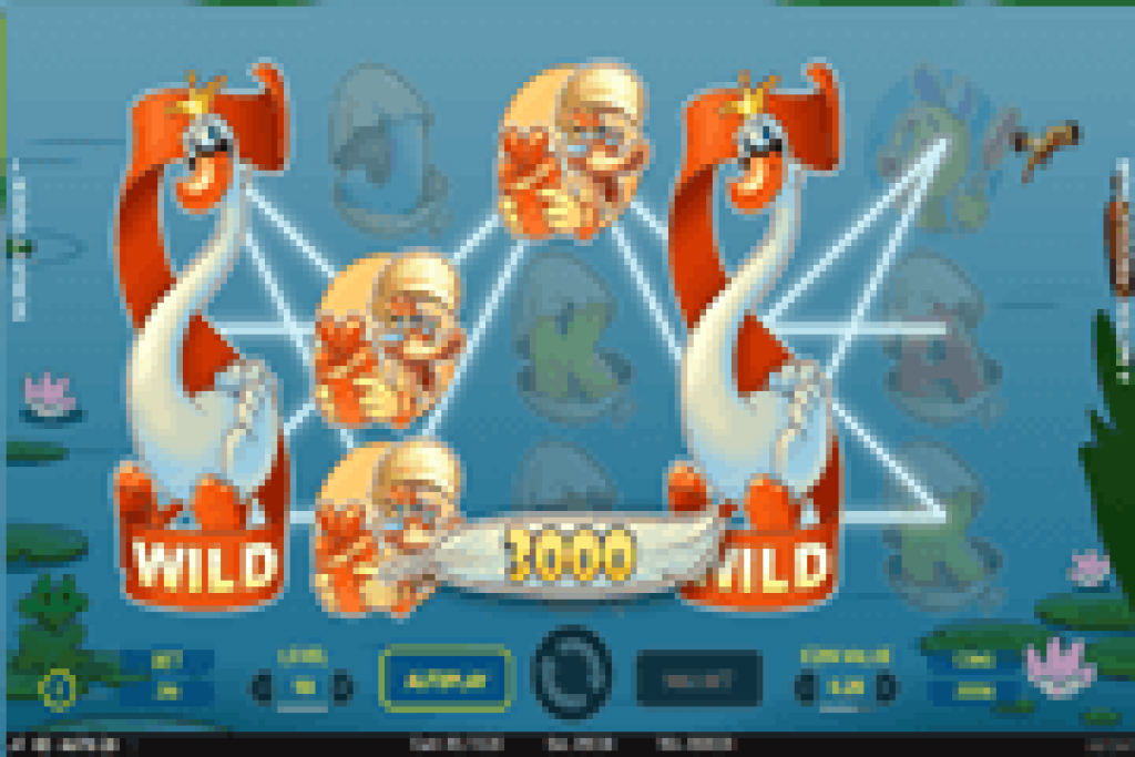 Scruffy Duck Online Slot : Expanding Wilds and Other Bonus Boosters